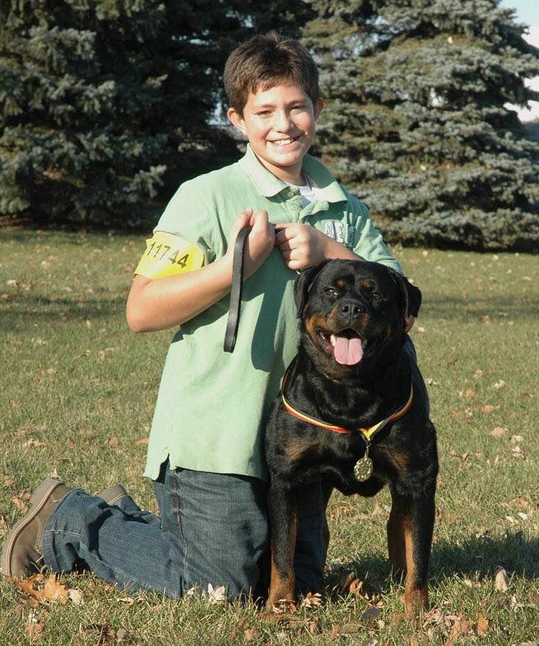 Our Puppies – Vom Hause Noble Rottweilers